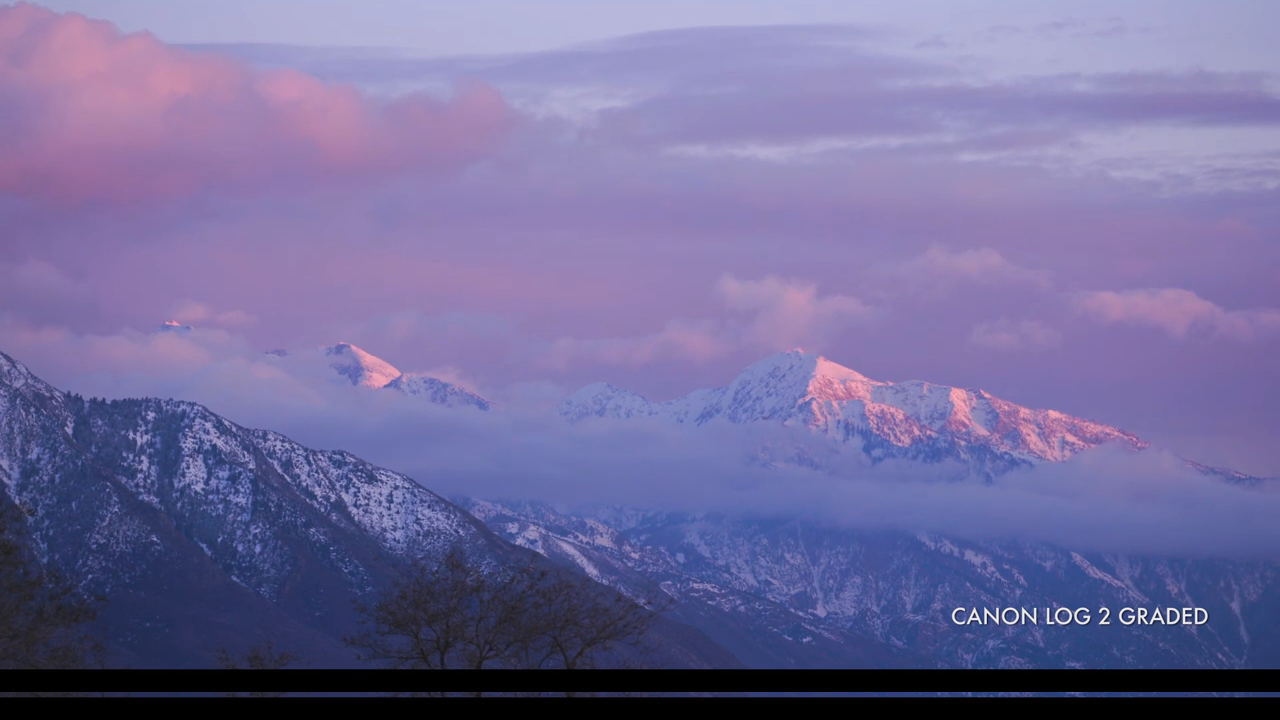 Comparing C Log Profiles on the C300 Mark II